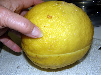 Food Gratitude: June 2010