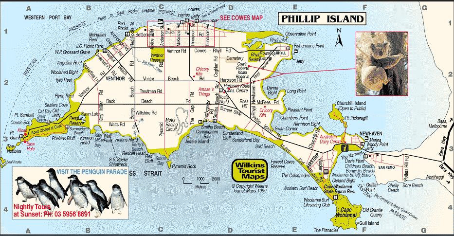 Jessie & Phil down under: January 2011