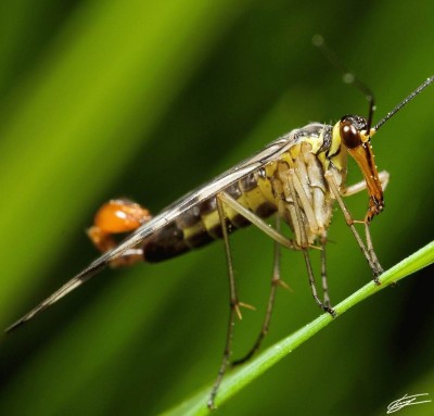 EL Amazonas.: La contaminación y deforestación del Amazonas.
