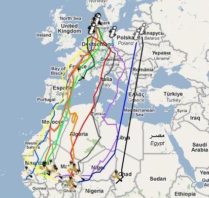 Birding for a Lark: Tracking Montagu's harrier over Libya
