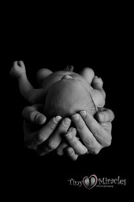 Tiny Miracles Photography