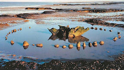 Alex Langstone : Seahenge on Display