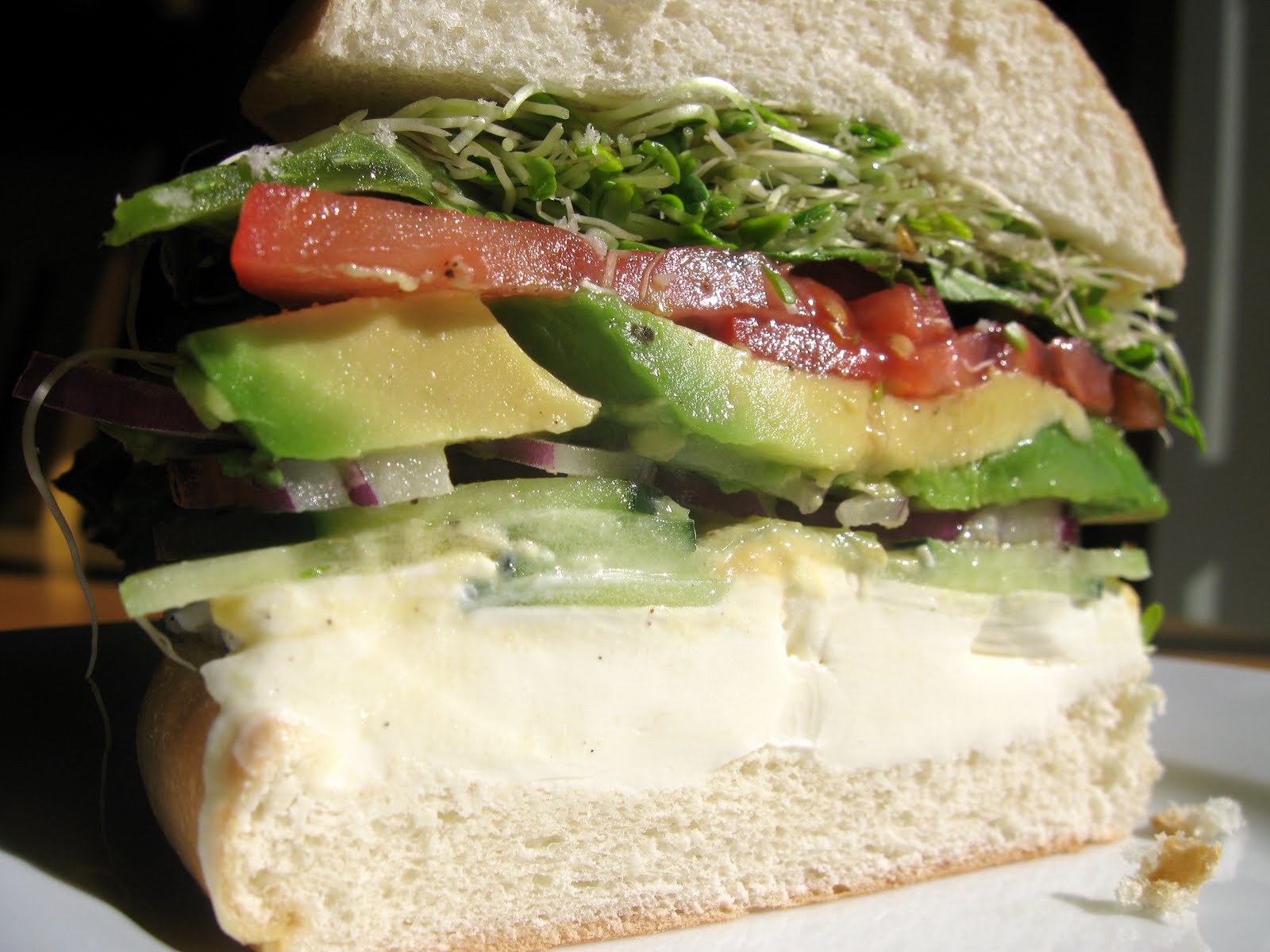 Beautiful Disaster: Vegetarian Sandwich