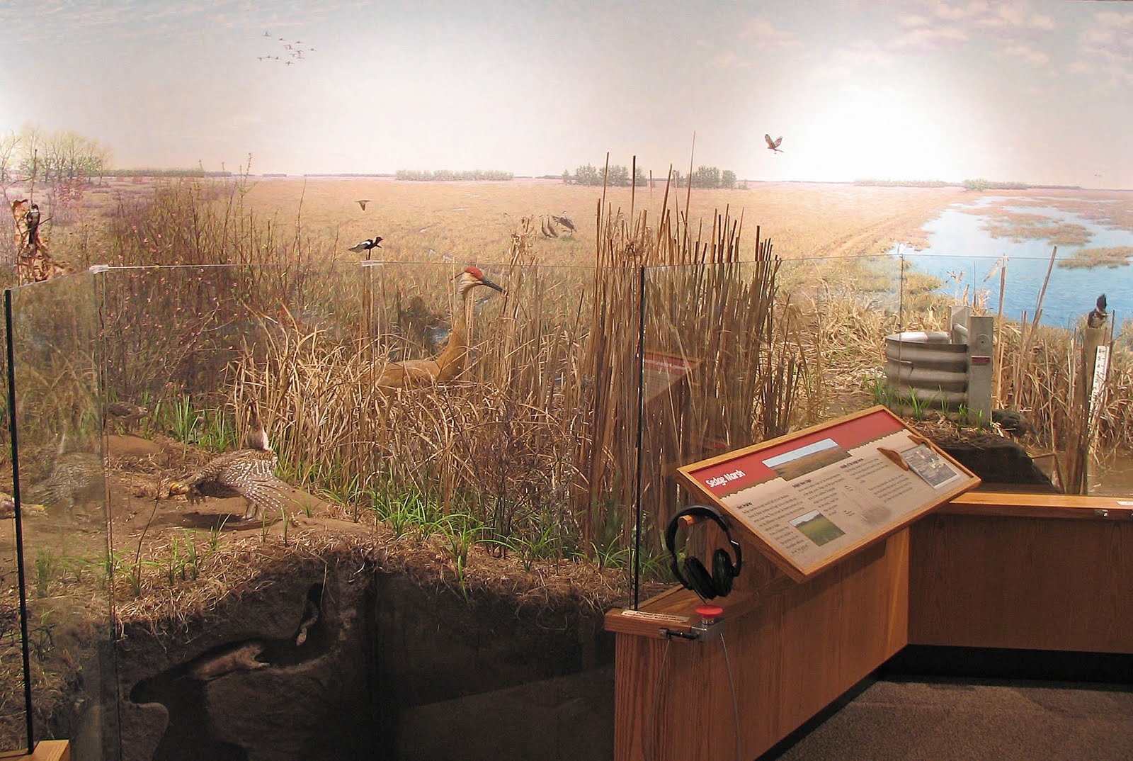 Nature Knitter: A Visit to Crex Meadows