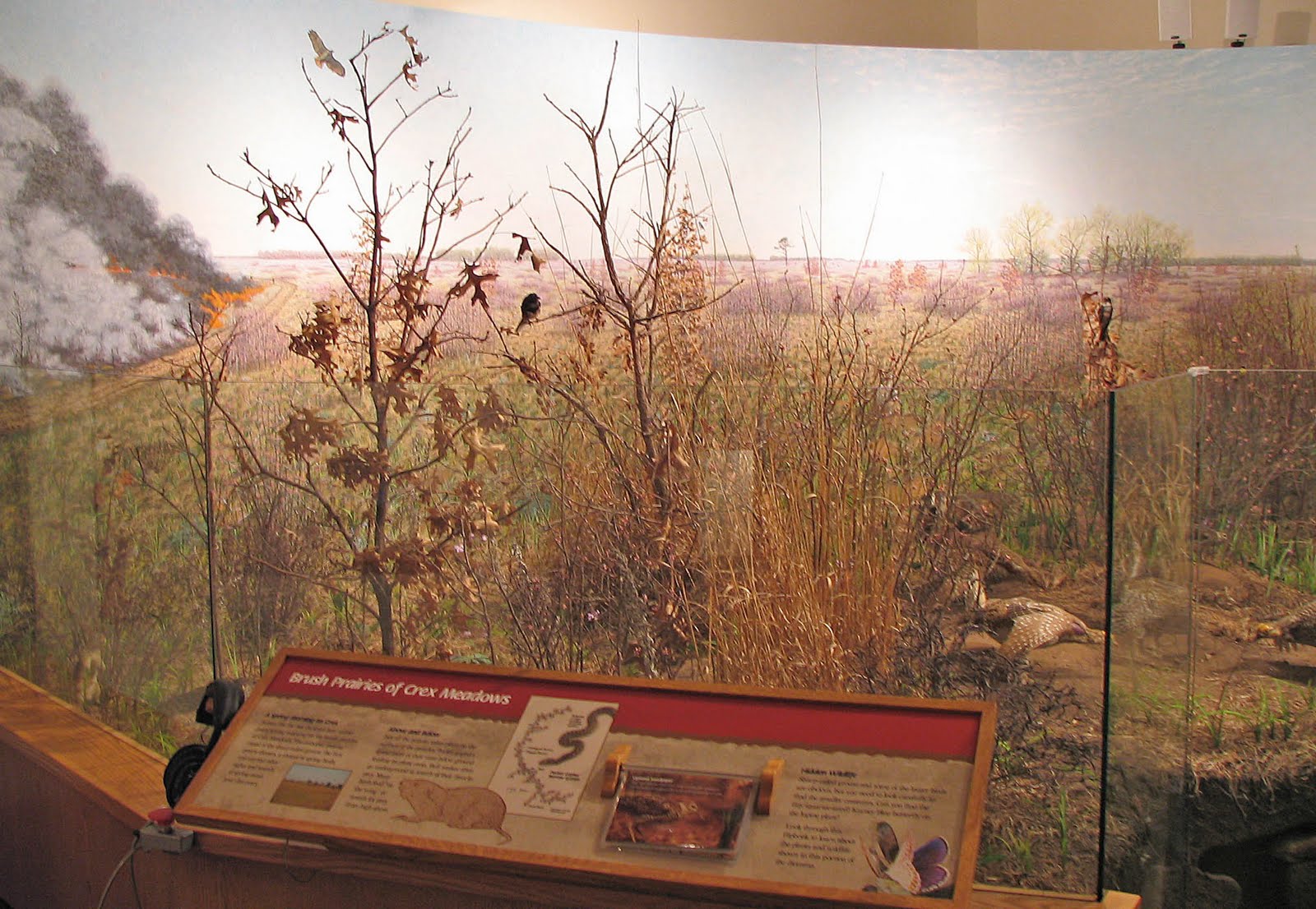 Nature Knitter: A Visit to Crex Meadows