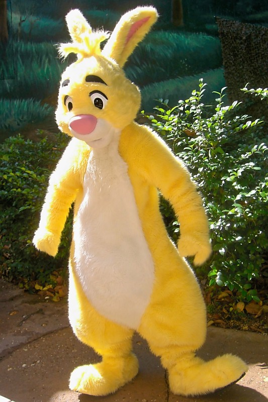 Unofficial Disney Character Hunting Guide