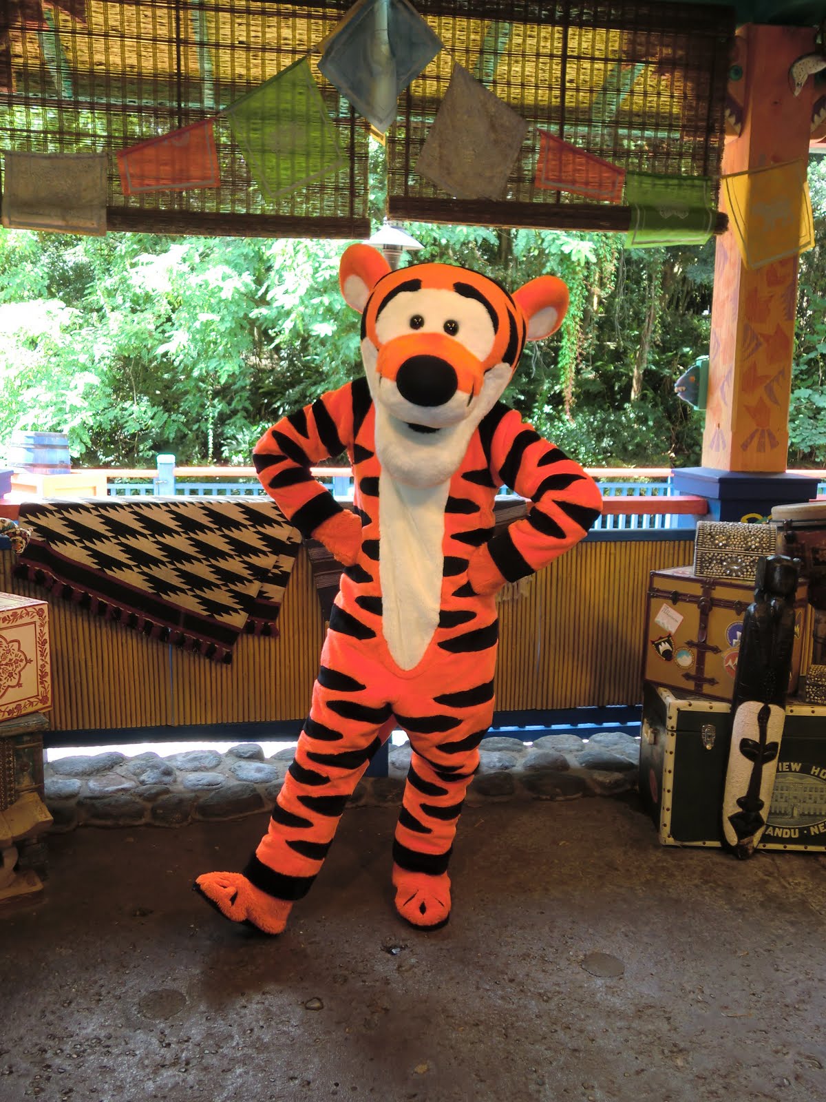 Unofficial Disney Character Hunting Guide: Animal Kingdom Characters