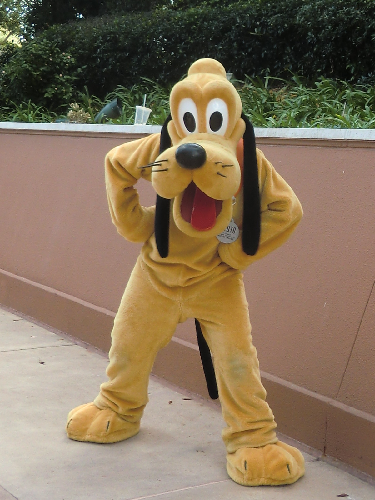 Unofficial Disney Character Hunting Guide: Character Training Random Spots