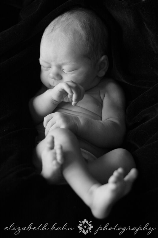 elizabeth kahn photography