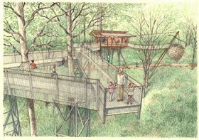 Morris Arboretum Tree Adventure