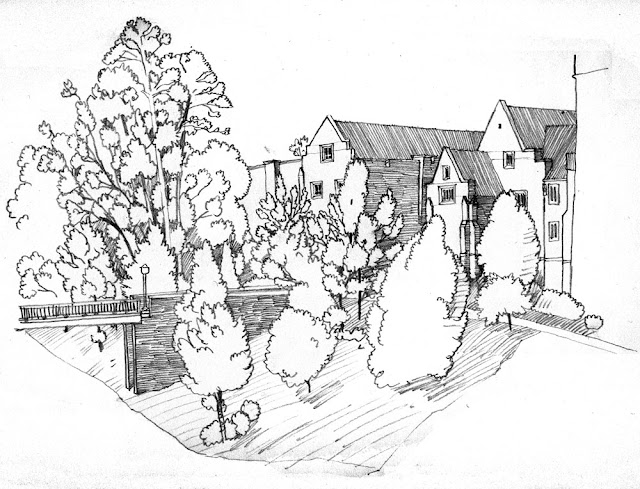 DRAWINGS DAILY: Duke University