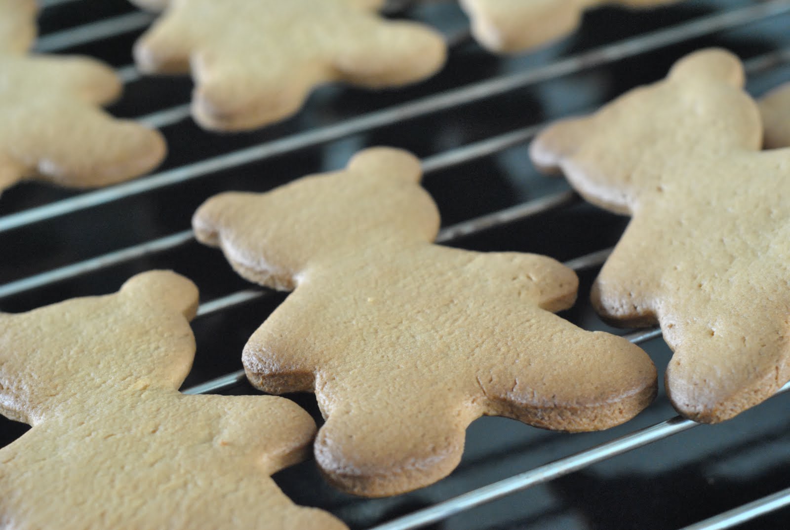 projek gila: sugar cookies project