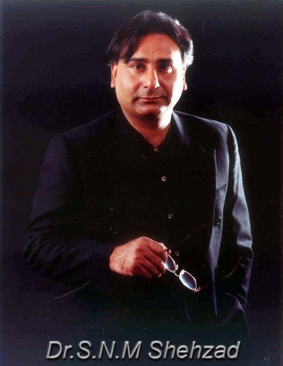 WHO IS WHO IN KARACHI: Syed Shehzad (S N M Shehzad)