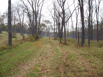 The Uncredentialed Professor: Business Lessons from a Ghost Town ...