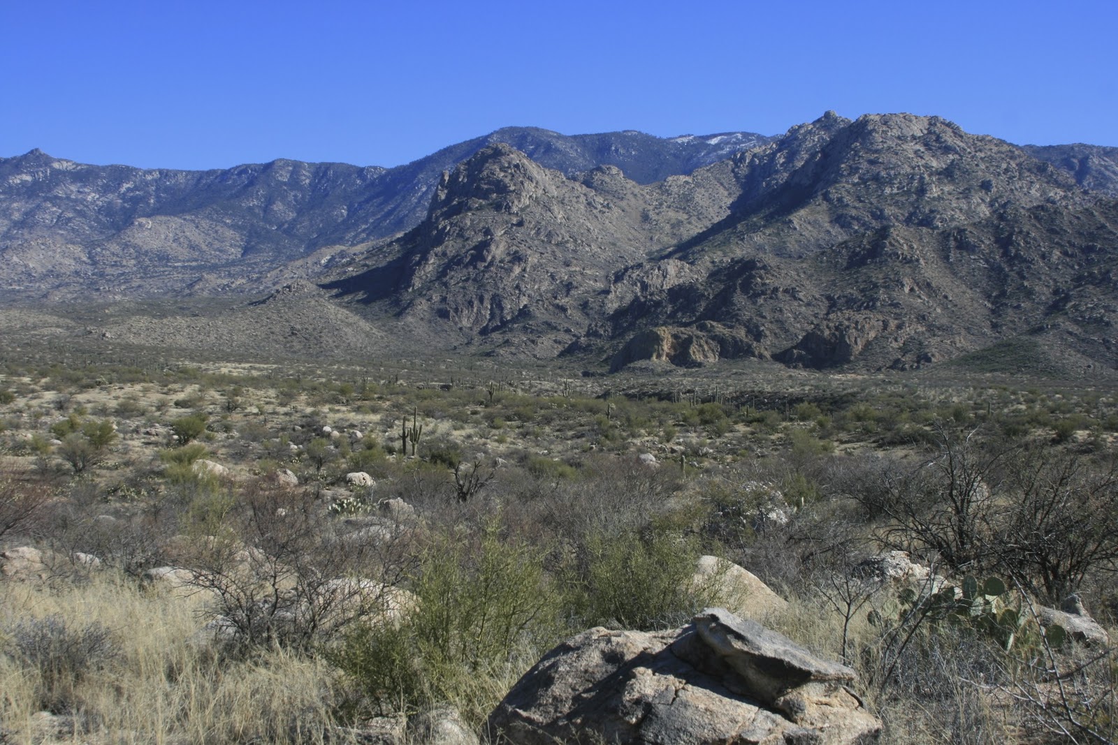 Sonoran Connection: Catalina State Park Tucson Arizona