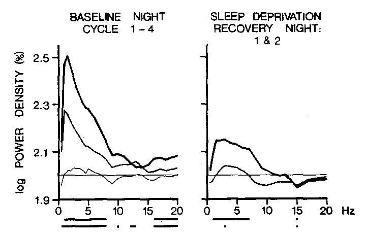 Cognitive Convolutions: Big ideas in sleep: Borbély's Two Process Model