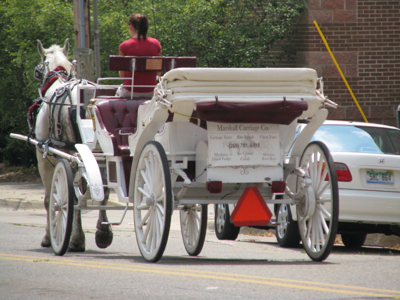 Wayside Treasures: Beautiful carriage ride through Marshall, Michigan