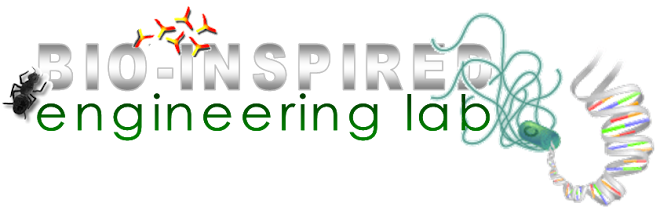 bio-inspired engineering