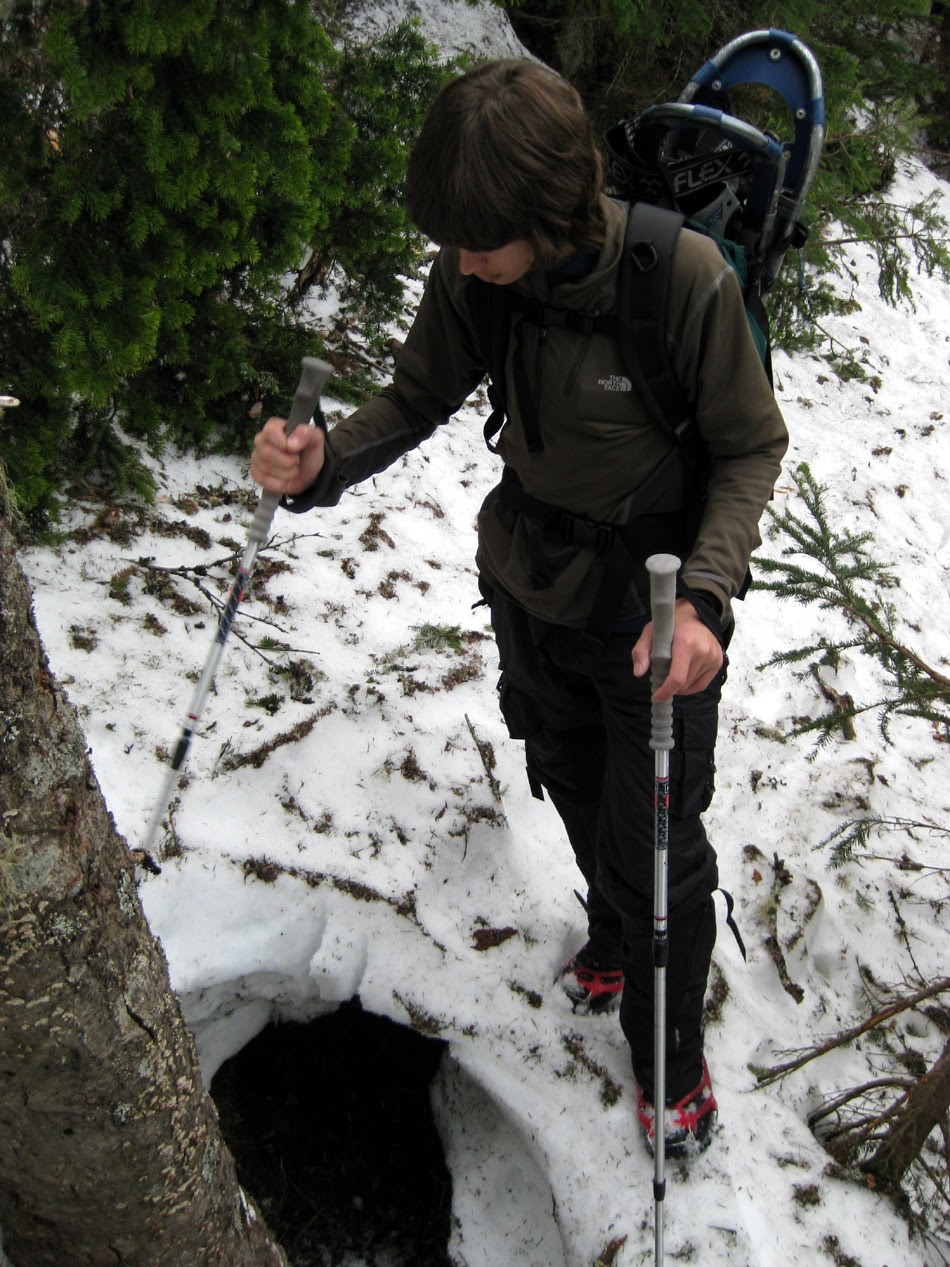 Naturally New England: In the Shadow of the Cat