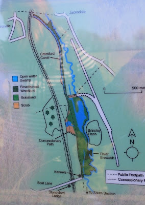 Captain Ahab's Watery Tales: Cromford Canal Walk, Erewash Meadows and ...