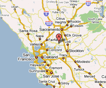 Kirby's Burrow (My Dachshund)