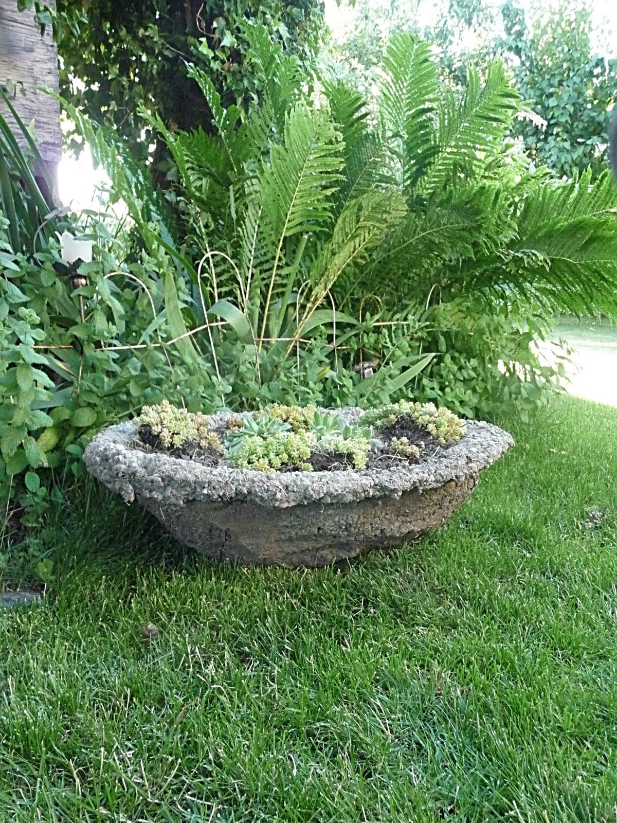ATTIC CLUTTER: My RUSTIC TROUGH