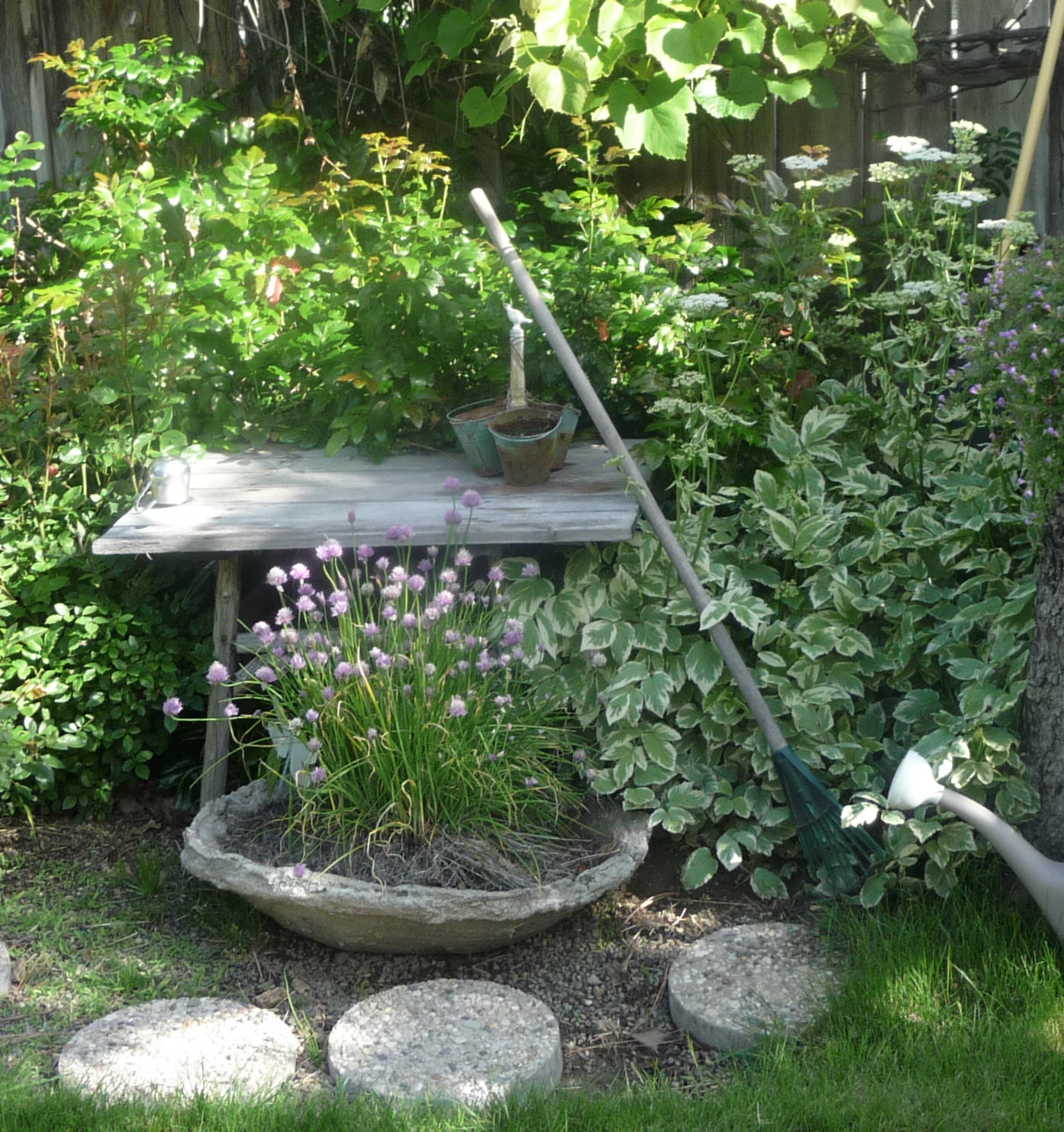 ATTIC CLUTTER: My RUSTIC TROUGH