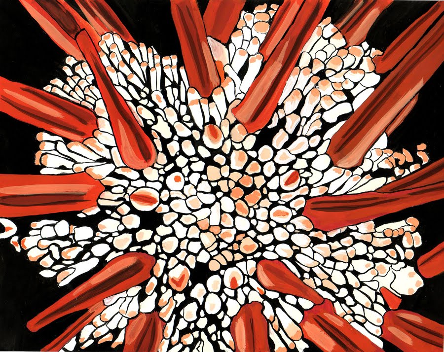 Art Studies: 2D Design - Unity and Variety in Nature