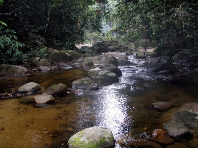 SEASON EXPLORER: Mount Bubu the 'blood sucker leech' 1657 m 14-16 Mei 2010