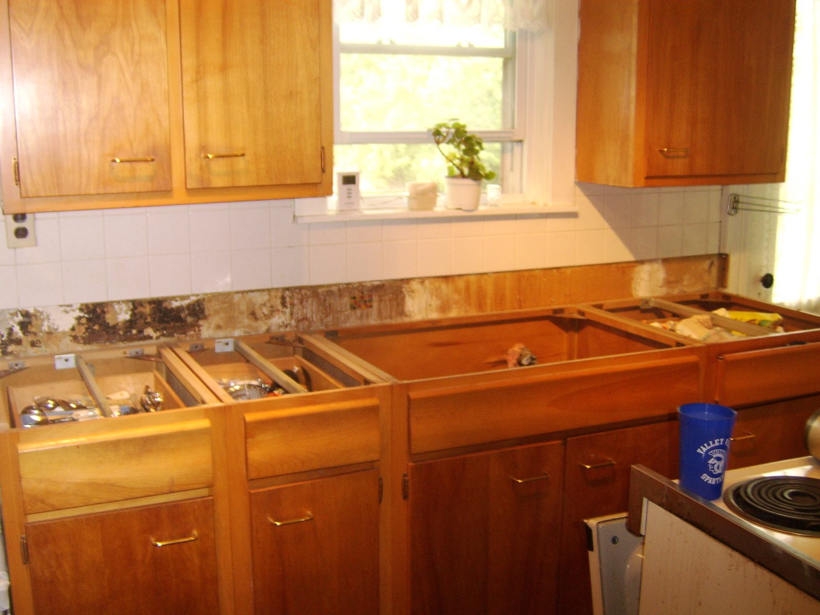 Bringing Home the Bacon: I Know What you Did Last Summer