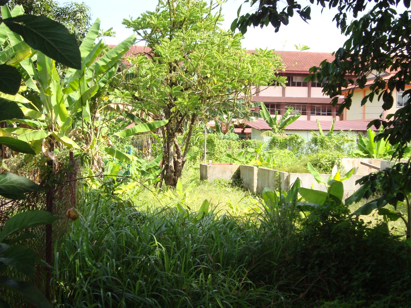 Rumah Untuk Di Jual Beli Dari Ejen Hartanah Berdaftar: Tanah Gedong ...