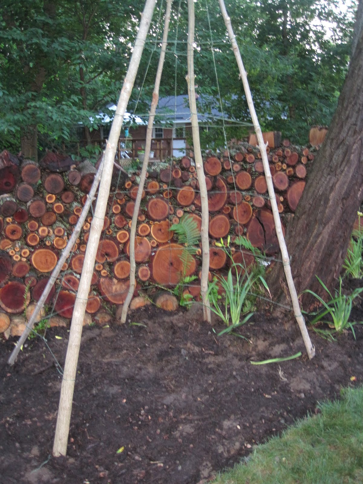 parenting in blue jeans: Tee Pee Playhouse