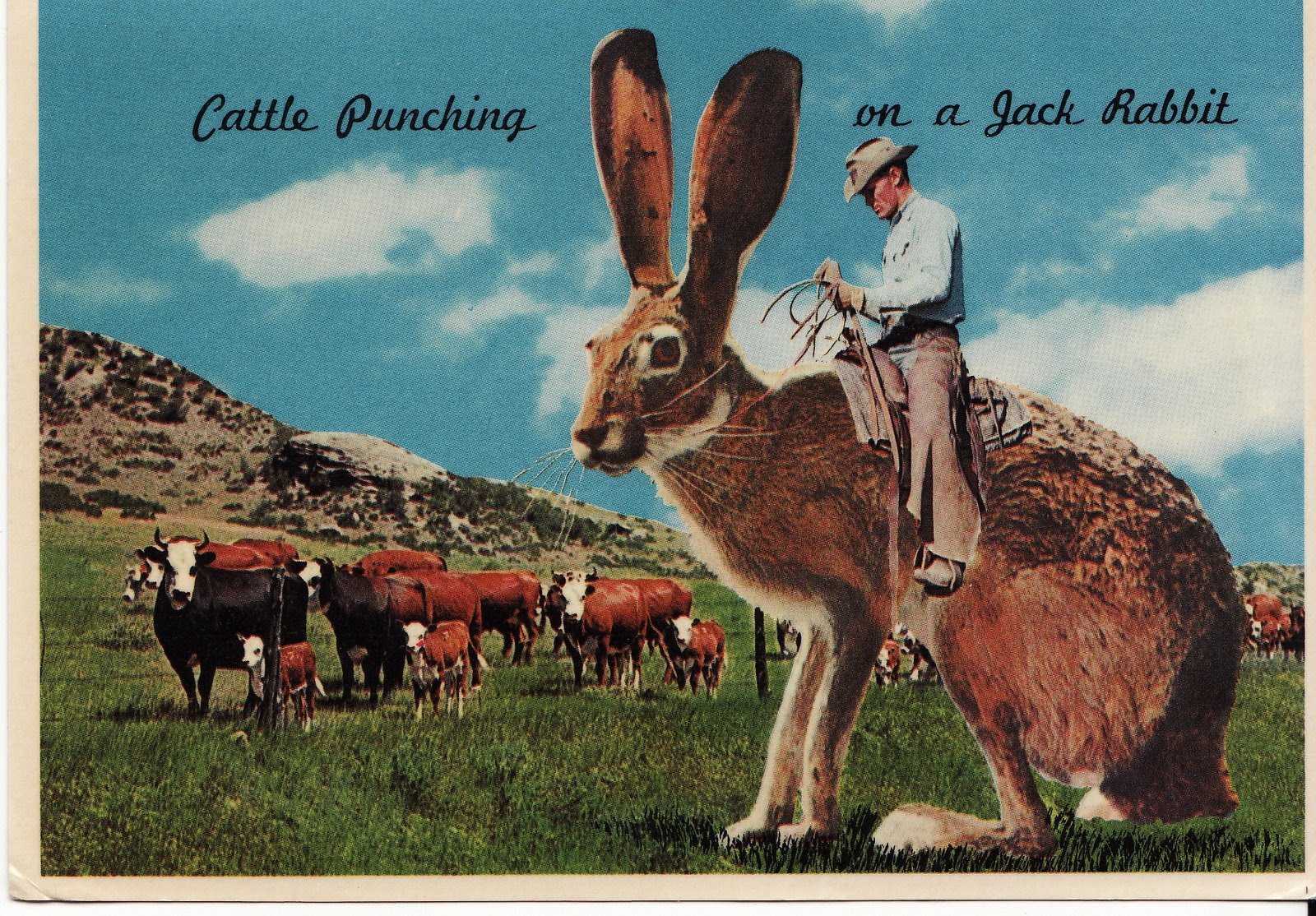 The Burnt Selena Project: Wonderful World of Clutter: Cattle Punching ...