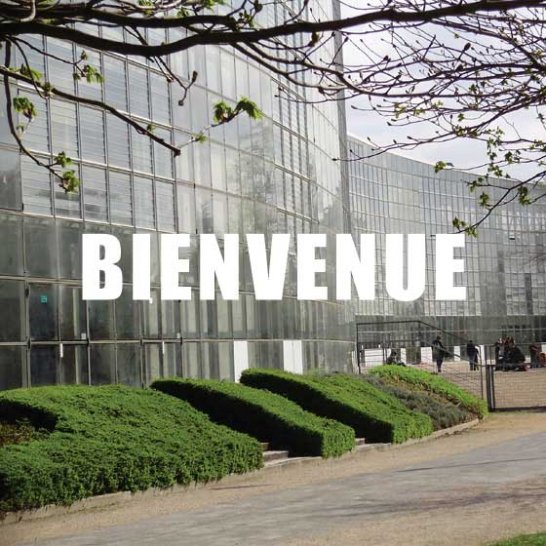 lyon-2010: CSI de Lyon