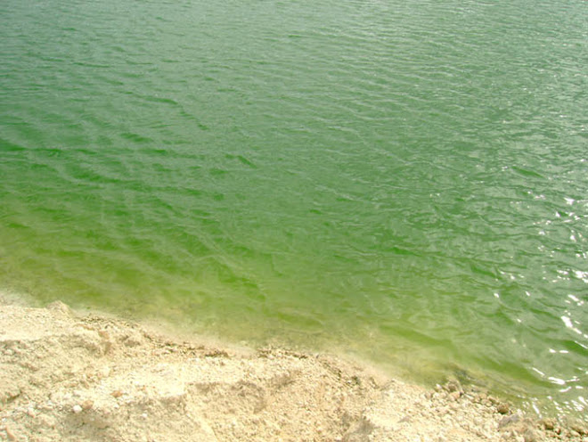 TIPOS DE SUBSUELOS: De que esta conformado el Subsuelo