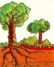 TIPOS DE SUBSUELOS: De que esta conformado el Subsuelo