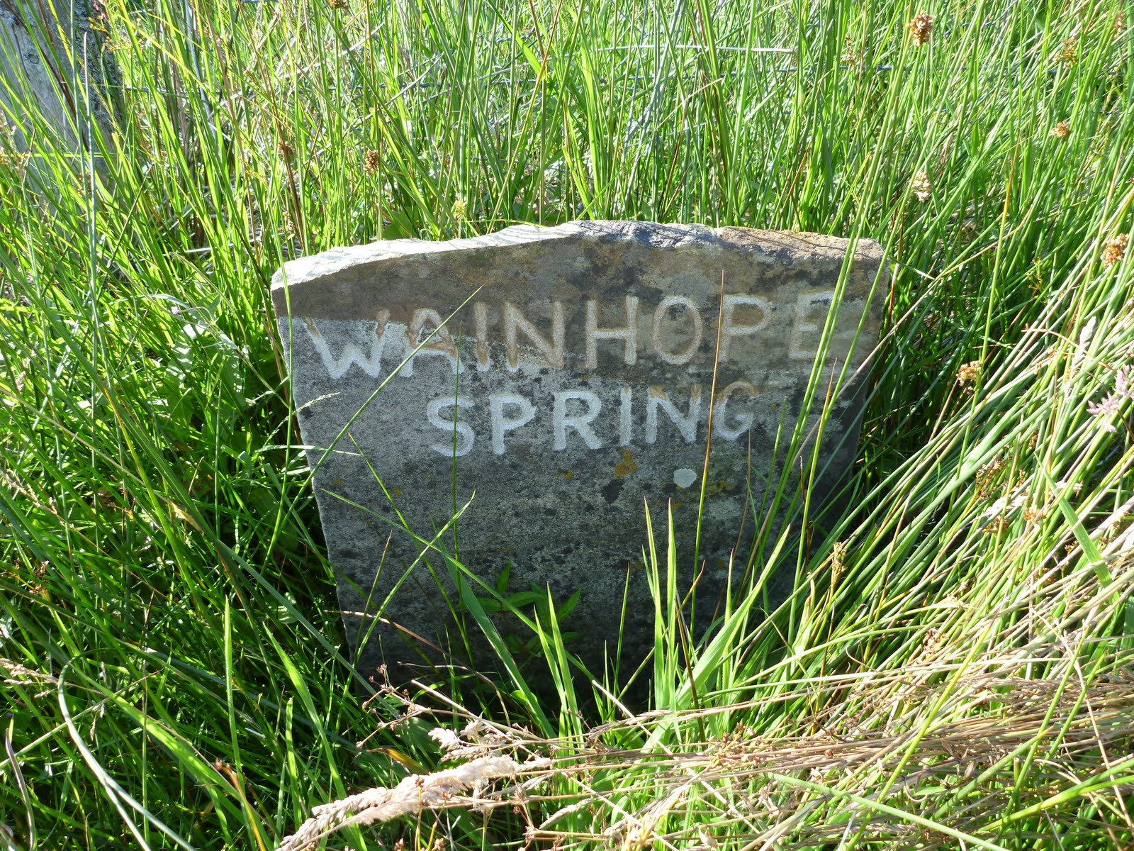 outdoor culture blog: Bothy Chorus at Kielder
