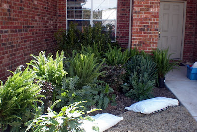 wilkinsonquints: Having Quintuplets is Hard....Saving Money at HEB ...