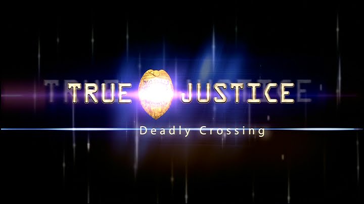 STRAIGHT-TO-DVD-HEAVEN: DEADLY CROSSING (2010) Steven Seagal