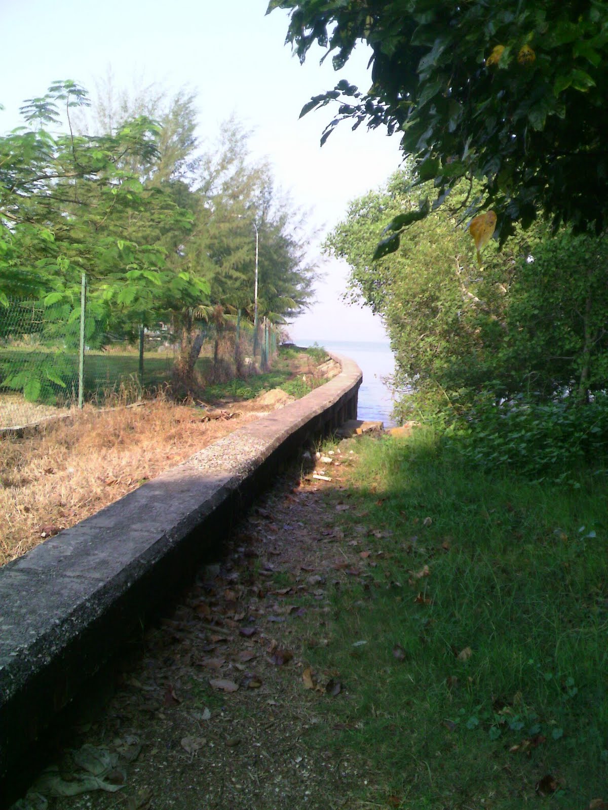 LAMAN RASMI ADUN MAHARANI: SELAMAT DATANG KE TANJONG EMAS MUAR