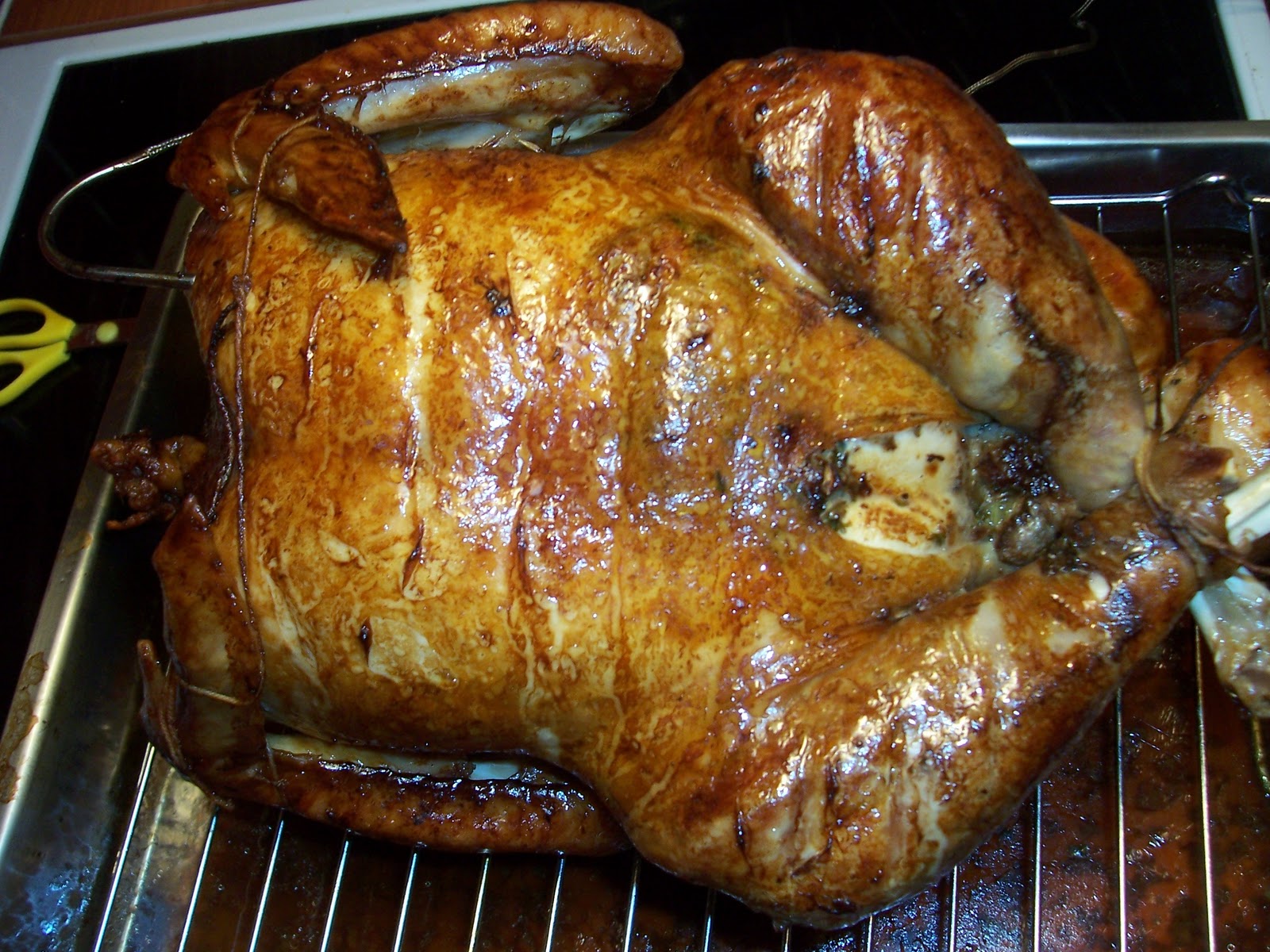 Få lite Matro: Helstekt kalkon med stuffing