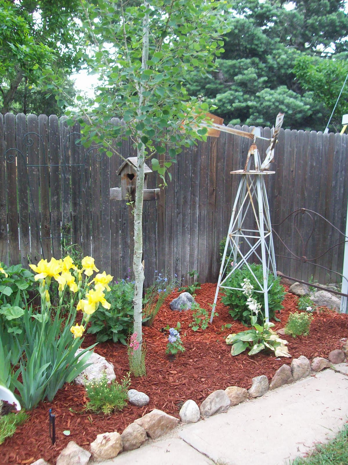 Porter Place Cottage: ~Backyard Photos~