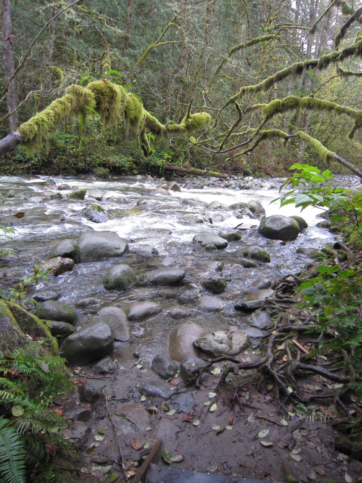 This Truly Amazing Life of Ours~