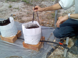 Inovasi Baru Pertanian: Problems in Drip Irrigation/Fertigation ...