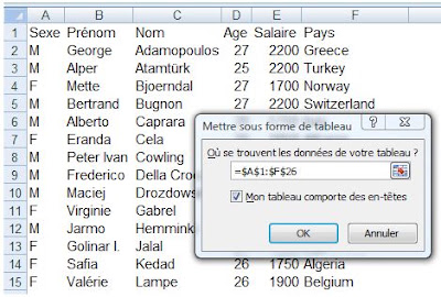 Monsieur Excel - pour tout savoir faire sur Excel