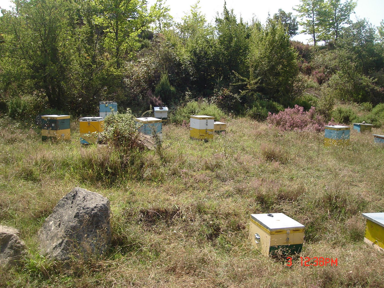 ΜΕΛΙΣΣΟΚΟΜΙΑ ΠΙΕΡΙΑΣ: 11/16/09