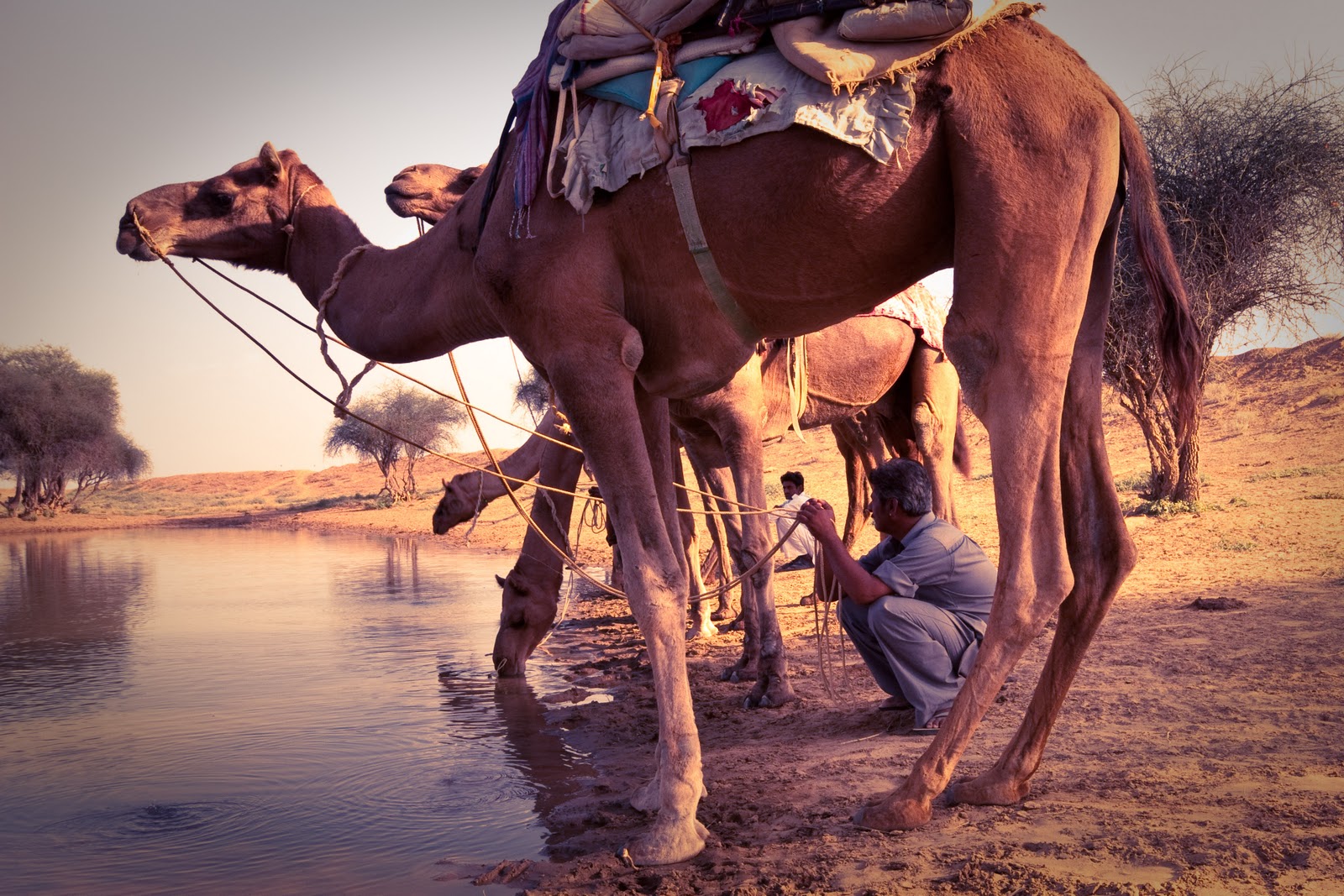 Wizz and Tom's Big Trip: The mighty subcontinent