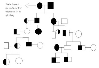 Genetics 101: 3. Single Allele Trait: Spiky Hair Pedigree