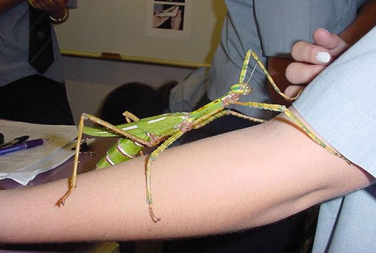 Bloogle Incrivel: 50 Imagens Incriveis ( 7 )