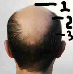 Potongan Rambut 3 2 1 - Katalog Model Rambut 2019